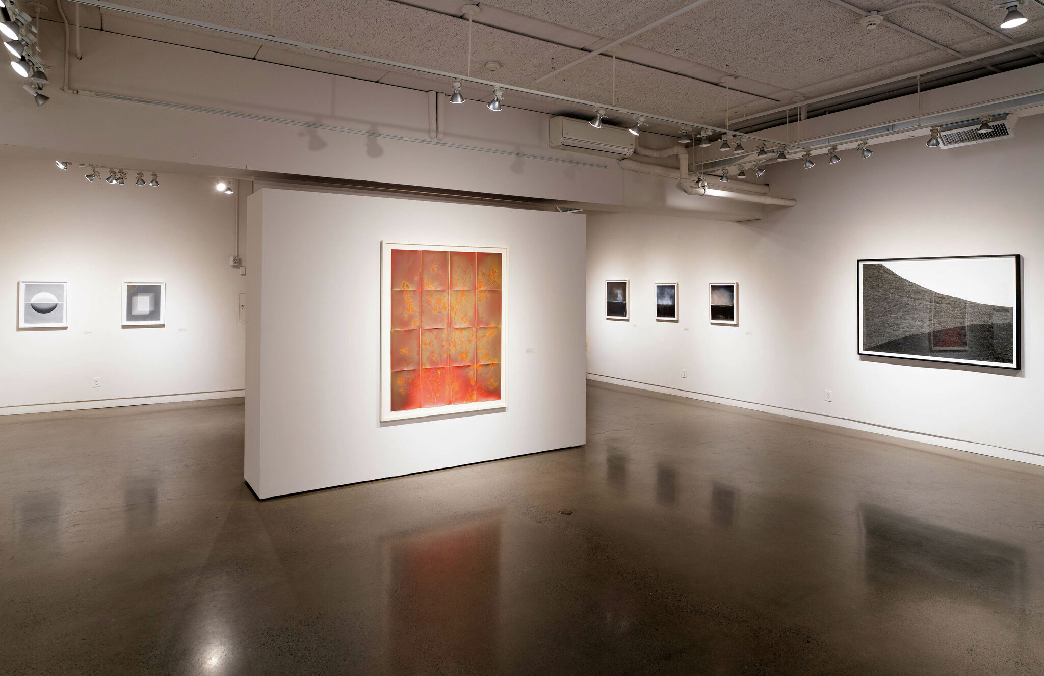 It's a chemical reaction for Schick's Alchemy photo exhibit