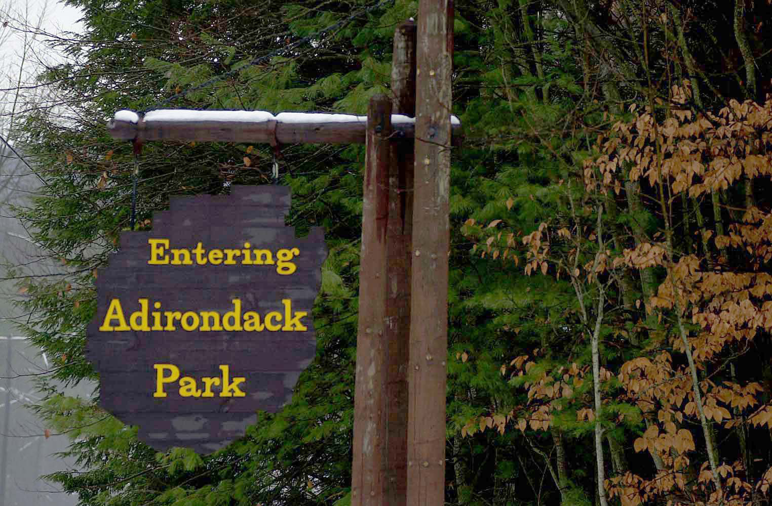 Pope Leo XIV doubles down on insistence for 2-state solution to resolve ...