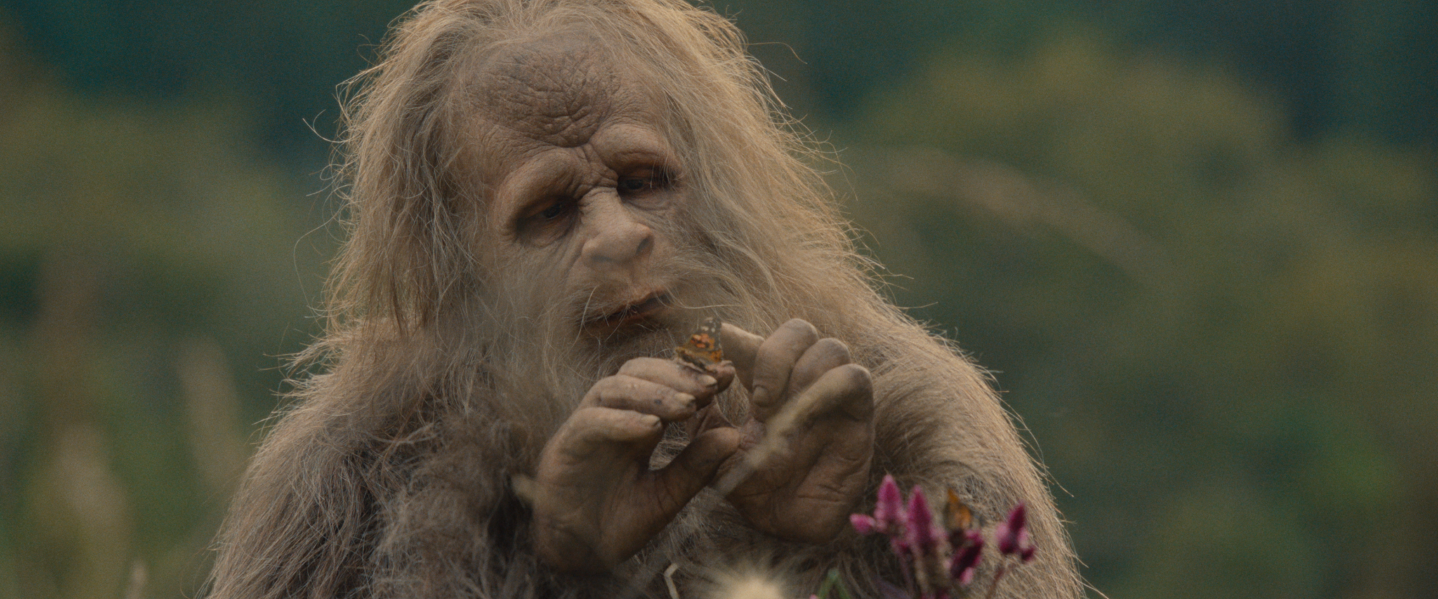 One year in the life of the last prehistoric Sasquatch family.
