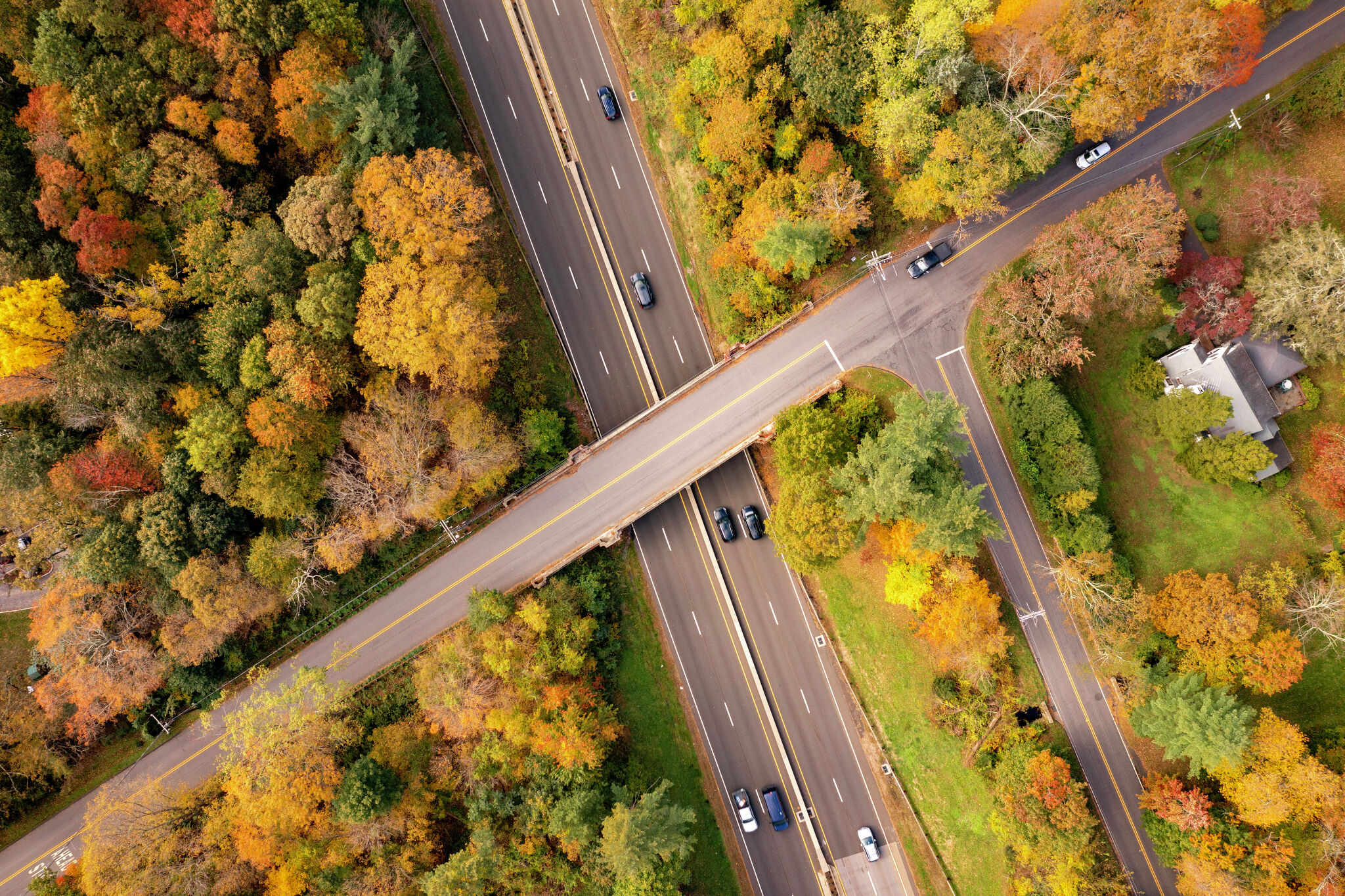New Canaan one of the best in the US to see fall foliage, report says