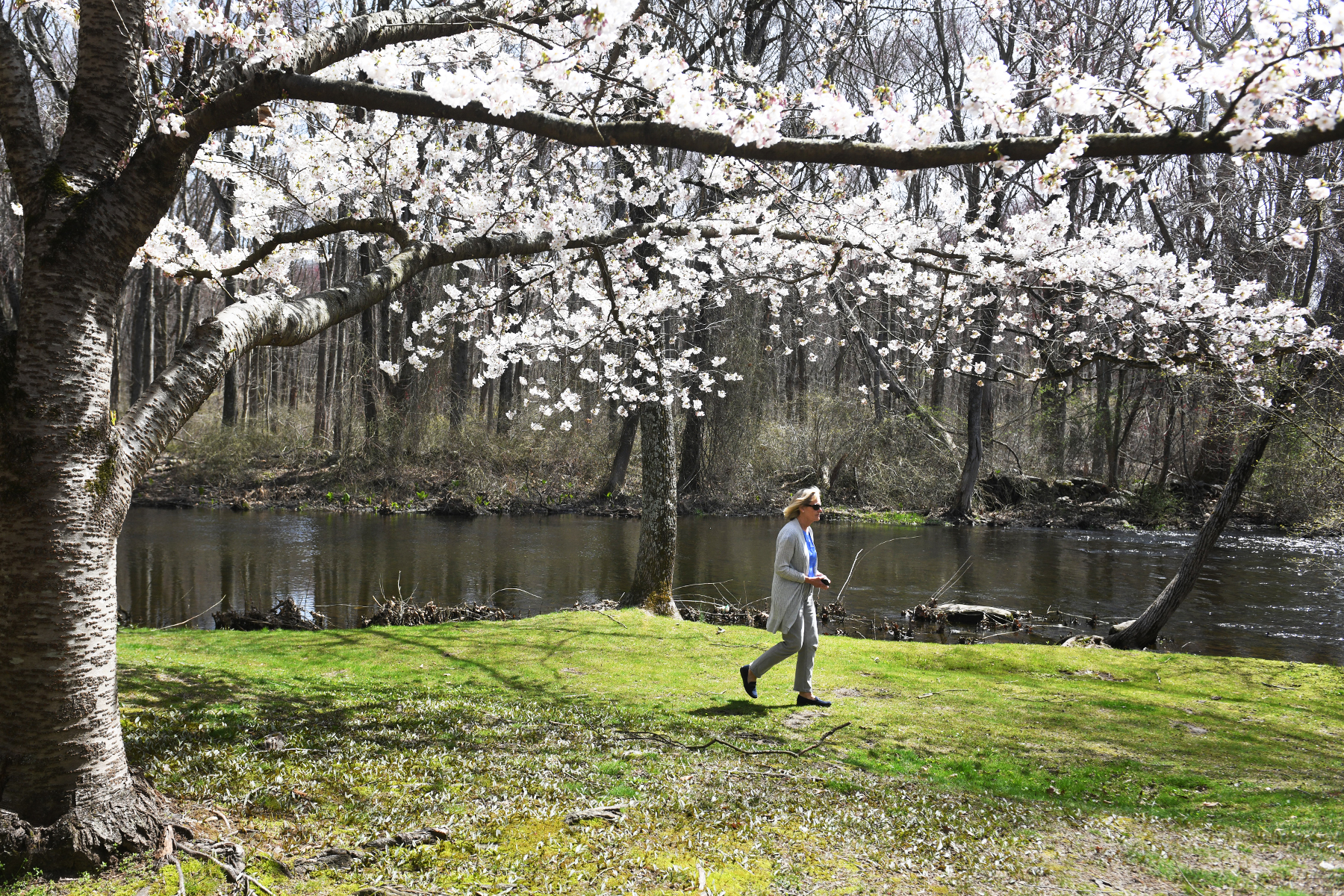 See forecast for spring weather 2025 in Connecticut