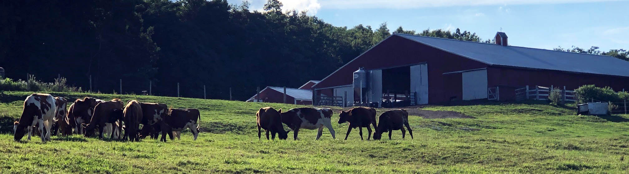 Kimberly Farm to reopen ice cream shop for 2nd season in New Milford