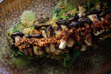 SF's Alora serves great food. But here's why I don't want to go back