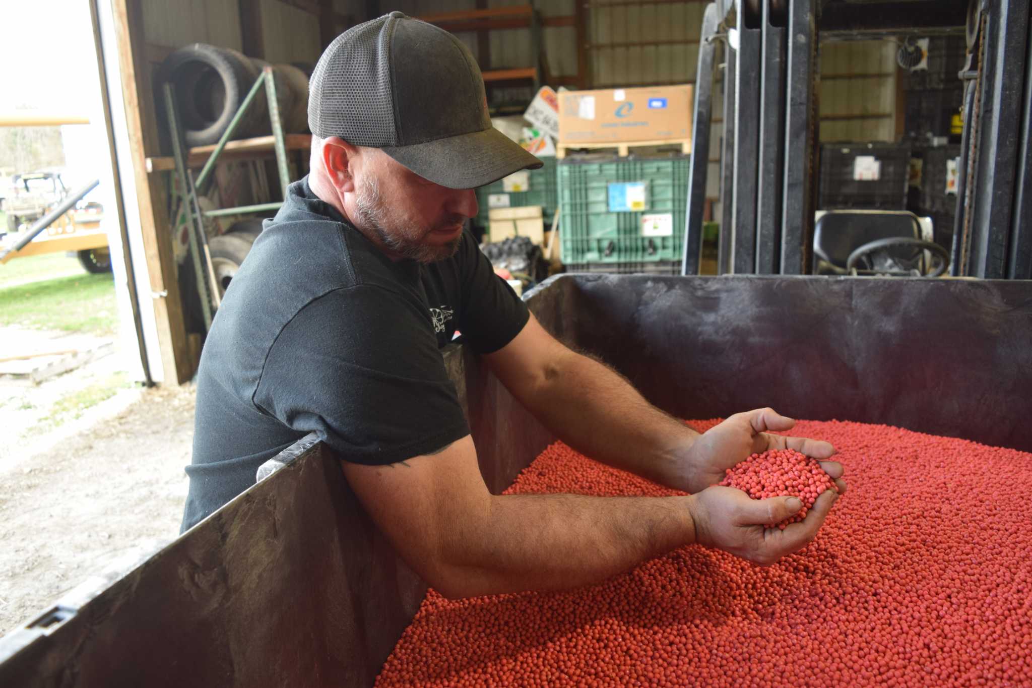 Illinois soybean popularity due to high demand, good prices