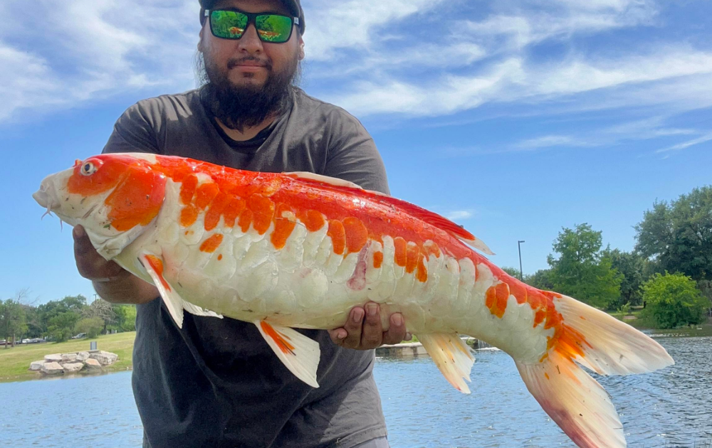 Texas angler snags monster fish in historic catch