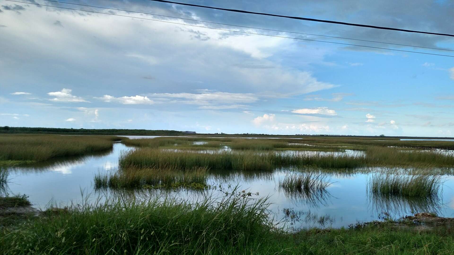 Save the fish. Save the shrimp. Save Texas' coastal wetlands.