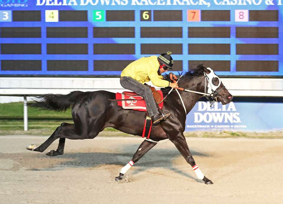 Delta Downs offers intimate horse-racing experience for locals