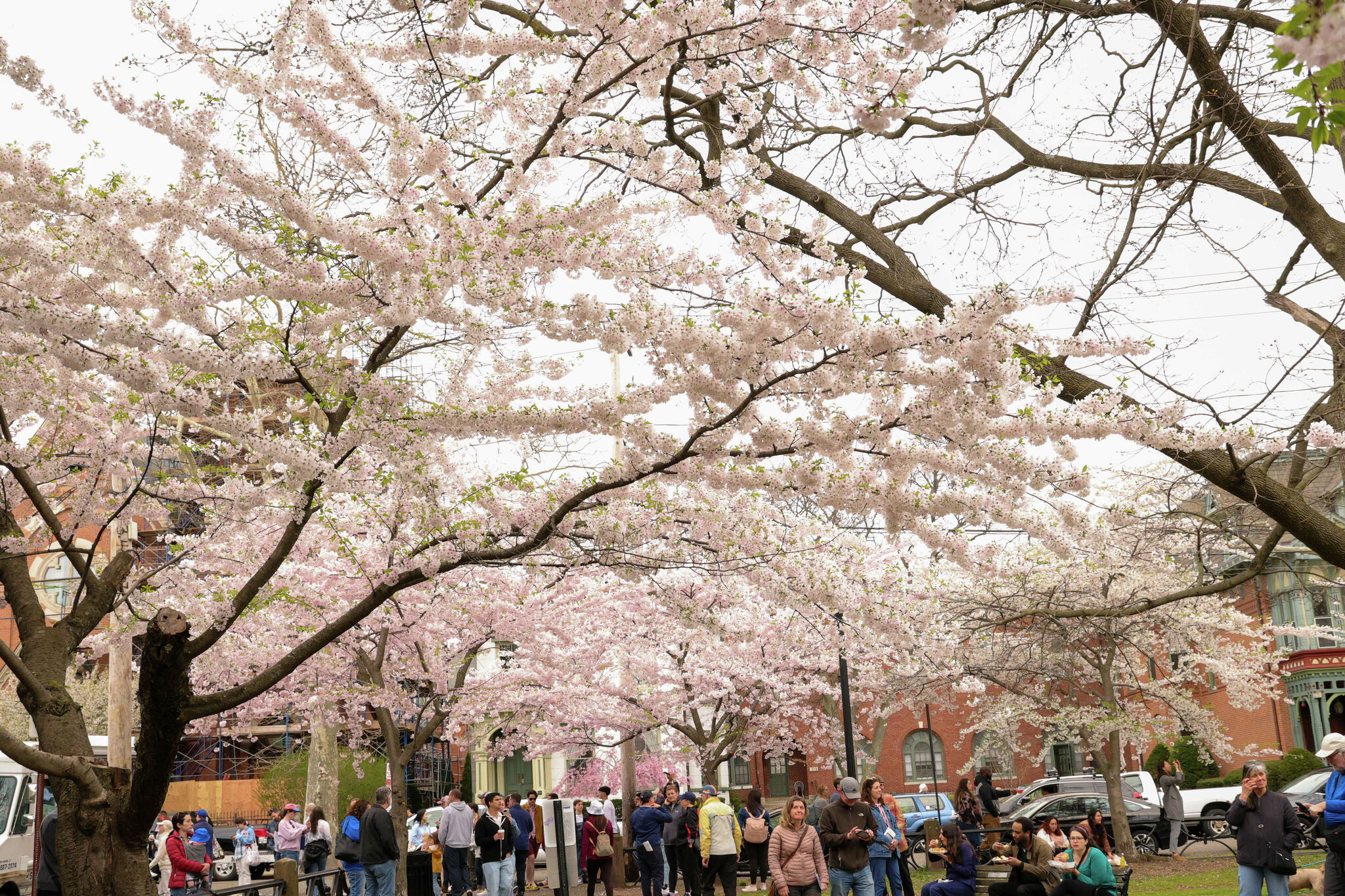 17 things to do this weekend in Connecticut