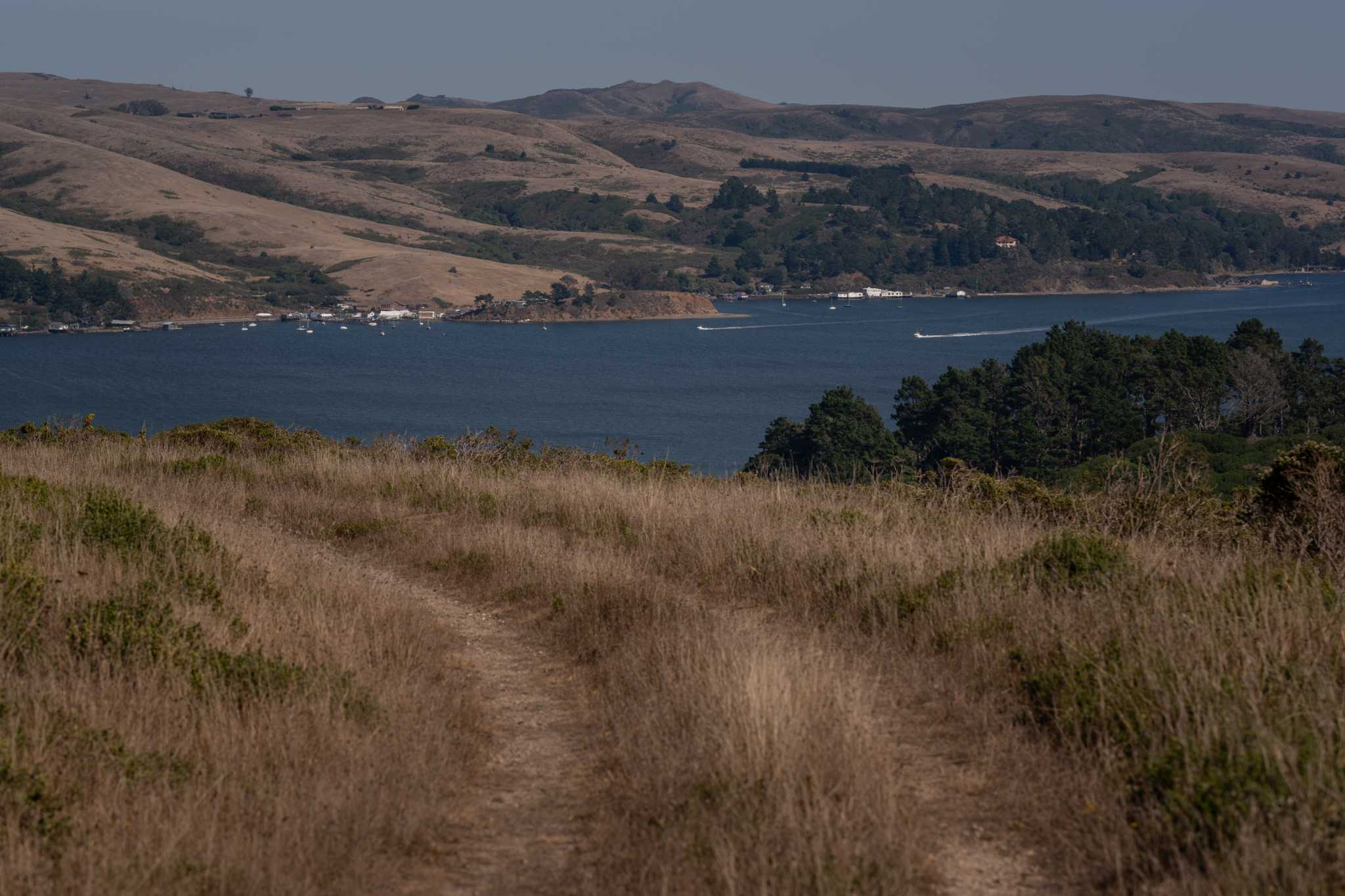 Seven rescued from capsized boat on Tomales Bay