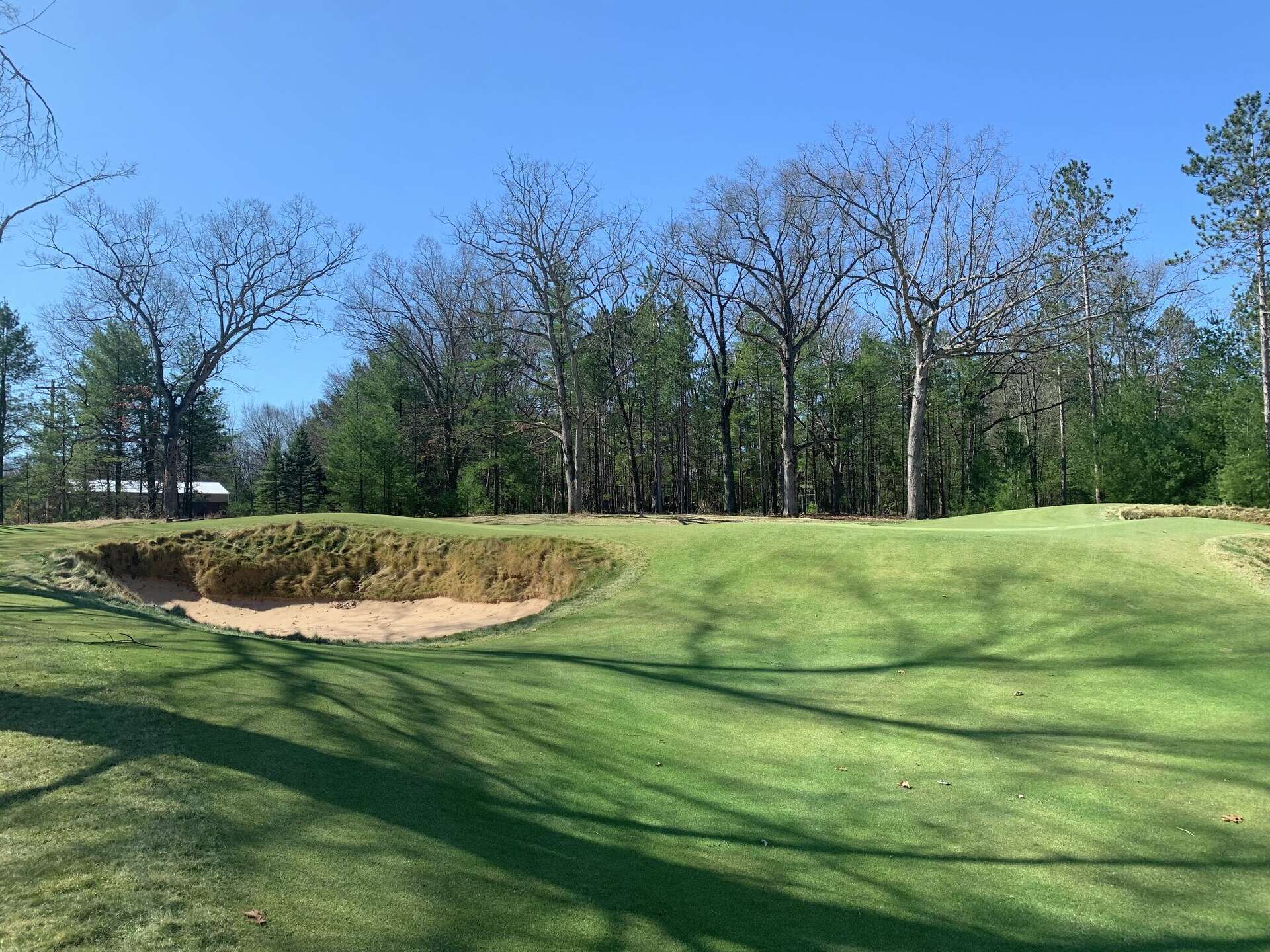 Play Manistee's new 9-hole course in 90 minutes or less