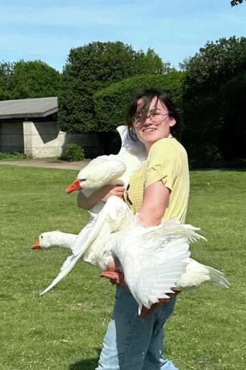 Geese recovered after being stolen from Texas park