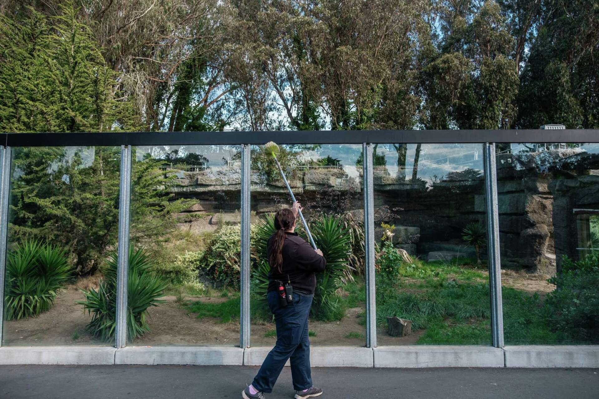 San Francisco Zoo gets coveted giant pandas from China