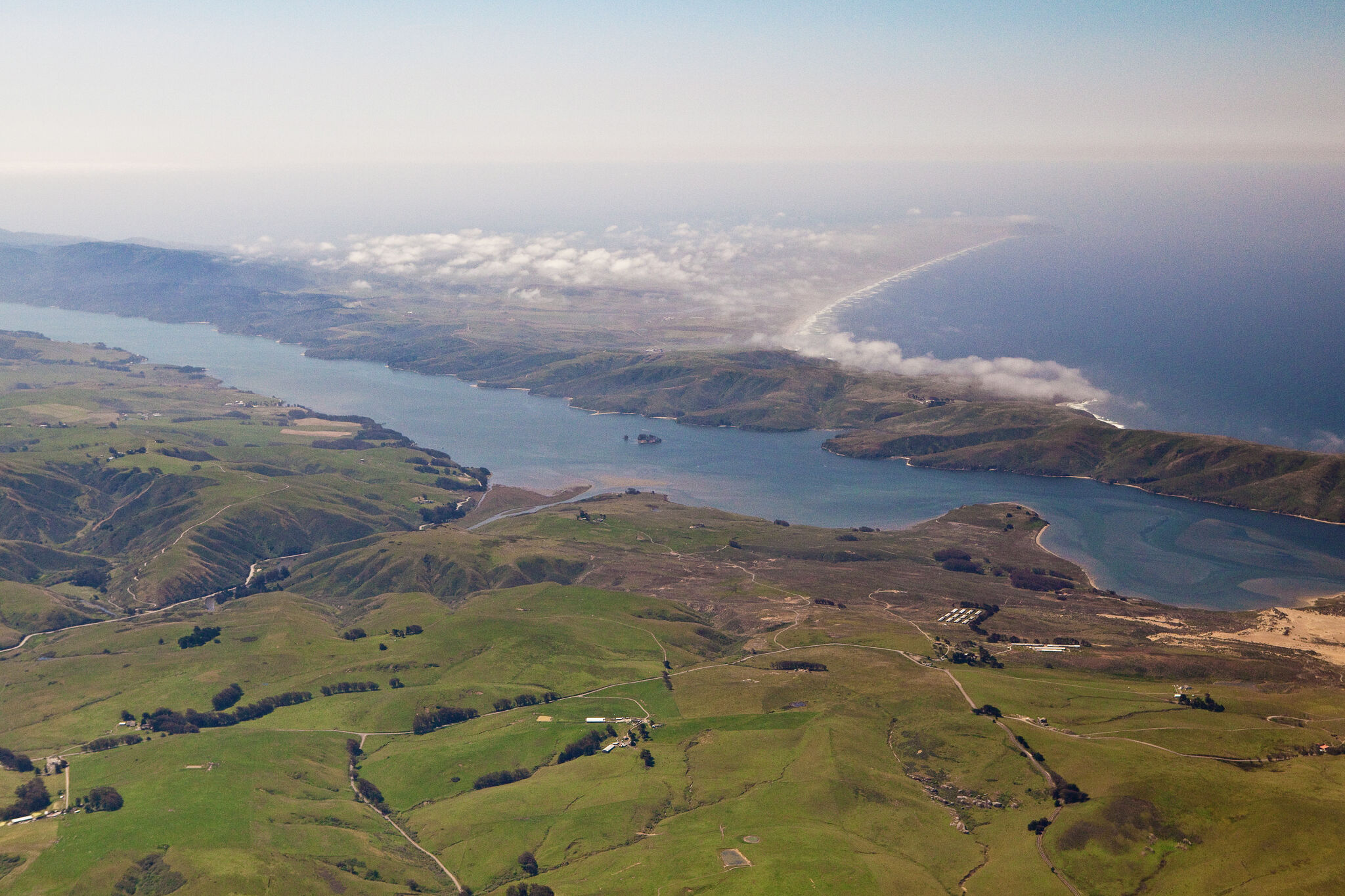 How a Bay Area family rescued the children of Synanon