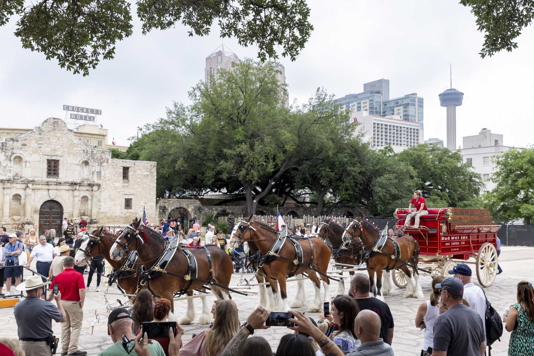 Clydesdales stop at the Alamo to kick off Fiesta appearances