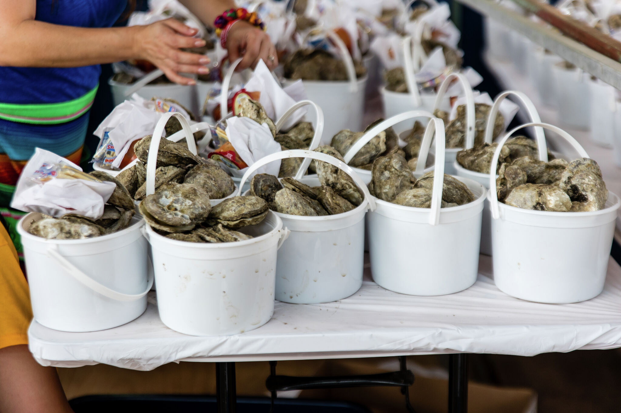 Fiesta Oyster Bake kicked off the weekend in San Antonio