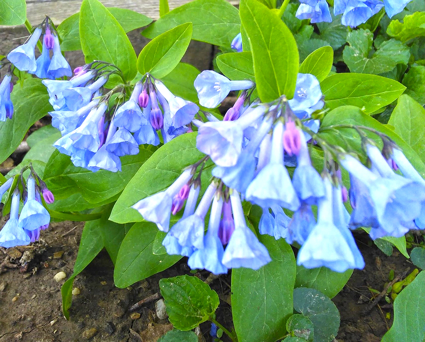 Reader photo: Blue moves