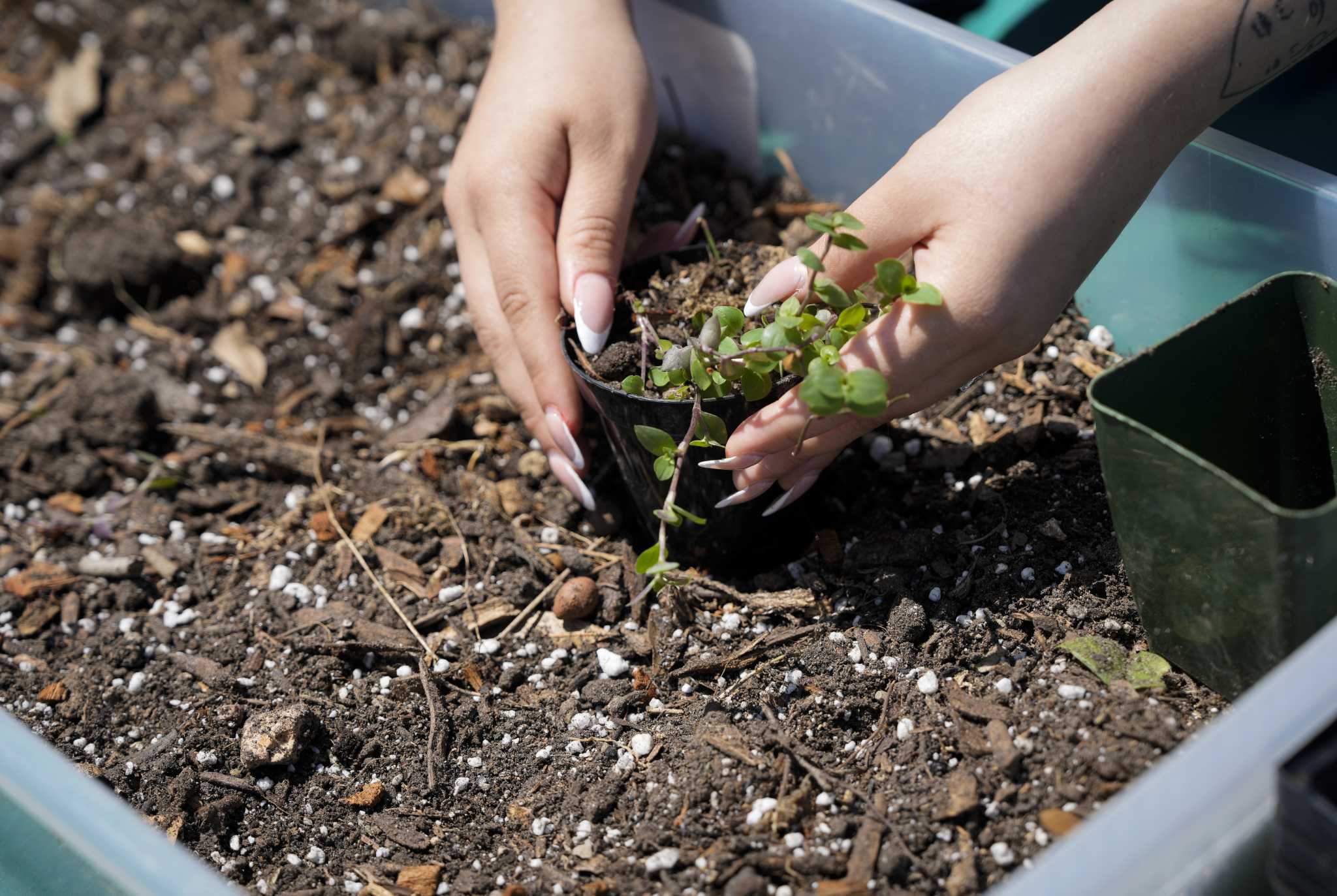 Earth Day: What to know and where to celebrate in Houston