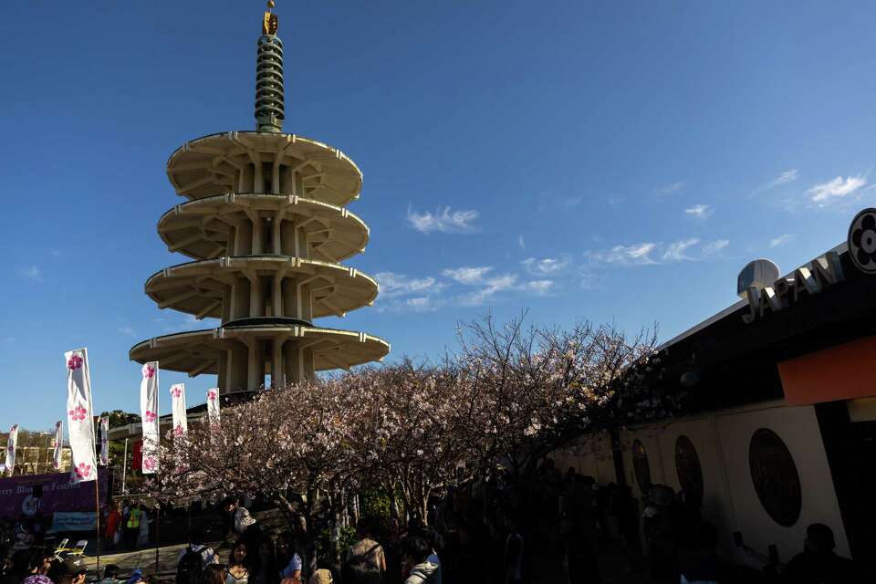 Cherry Blossom Festival bids farewell to SF Japantown’s grove of trees