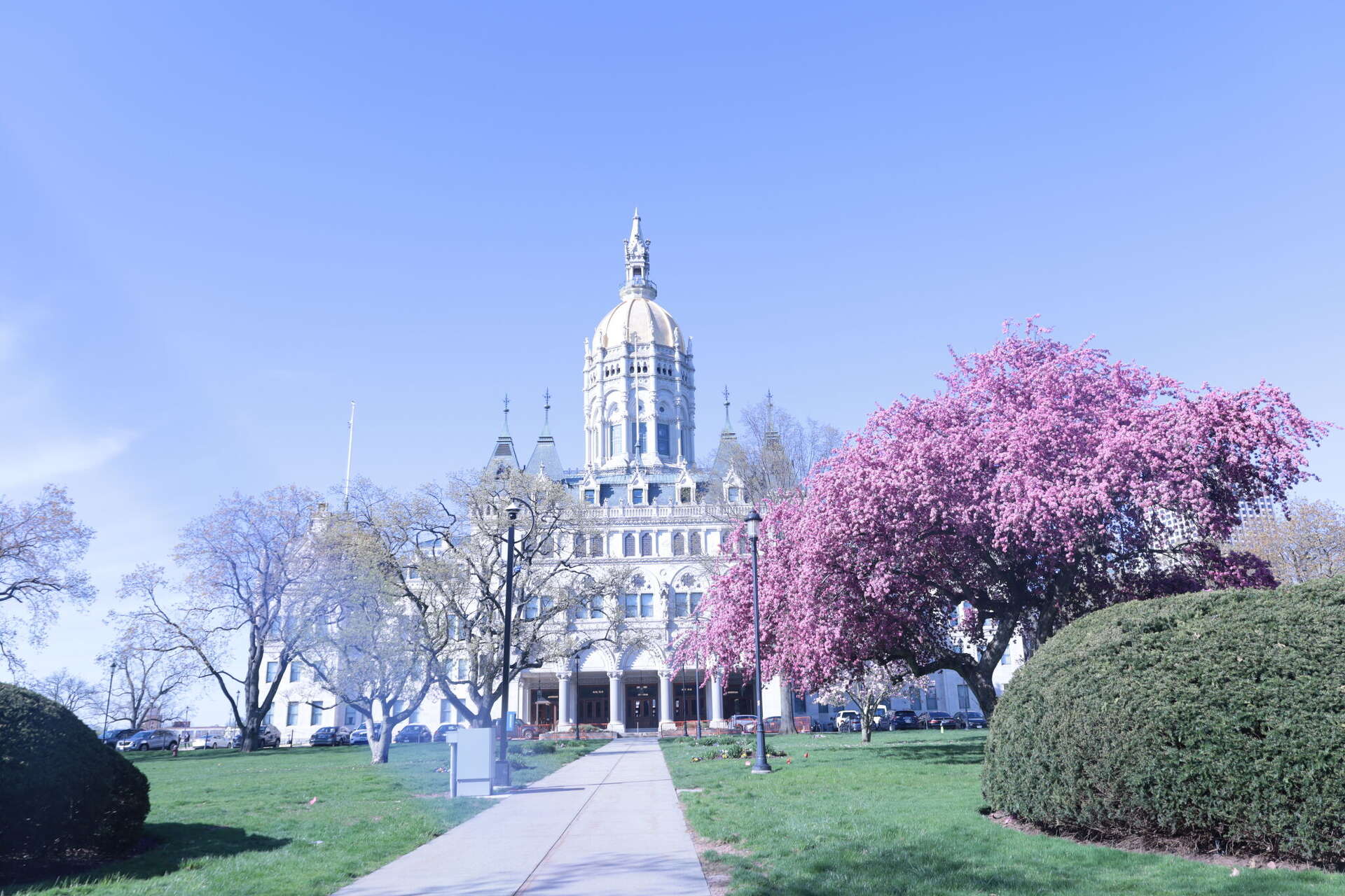 CT agency says staffing issues led to deficiencies uncovered in audit