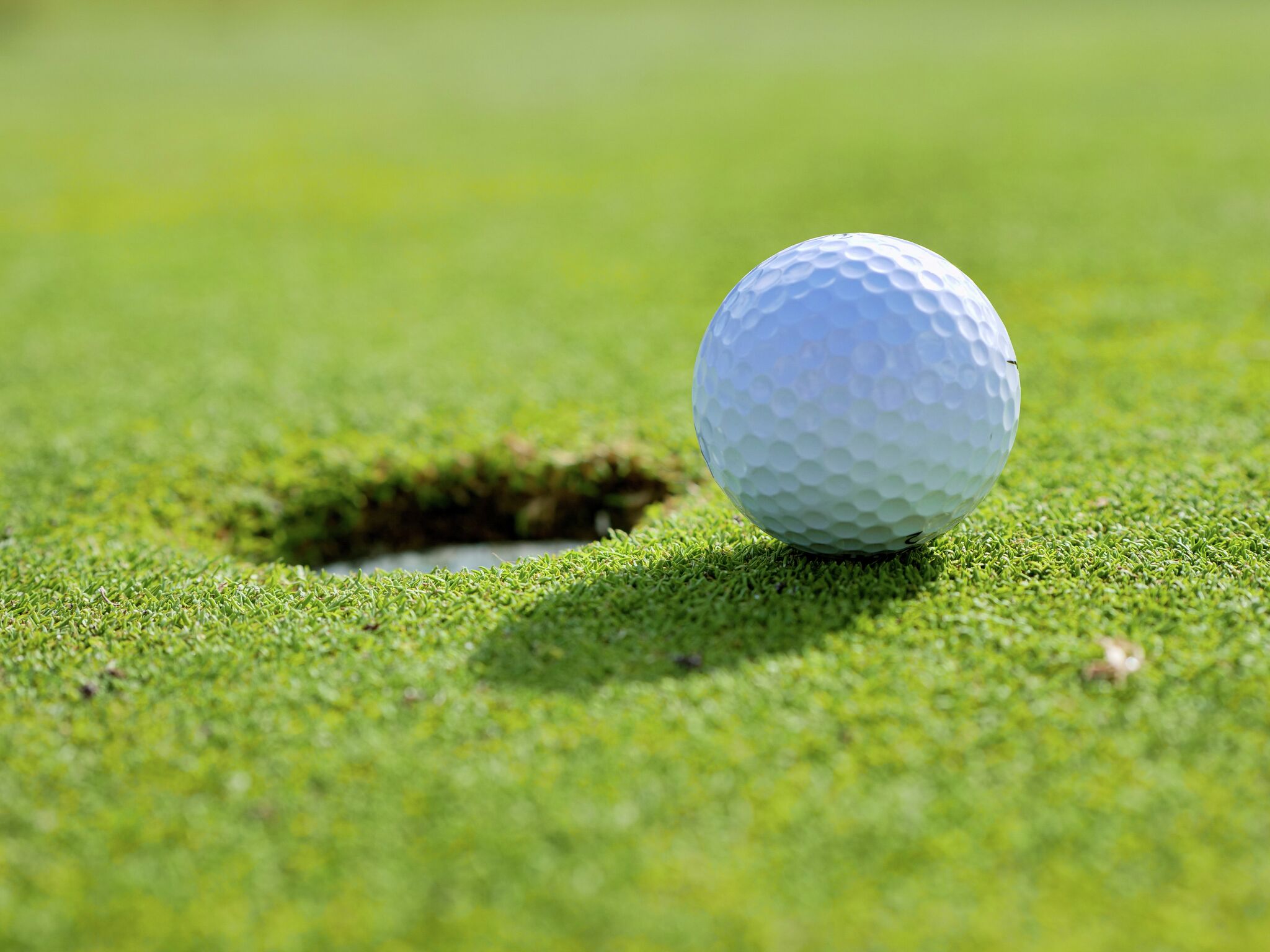 Manistee golf wins at Crystal, Onekama finishes third at Leland
