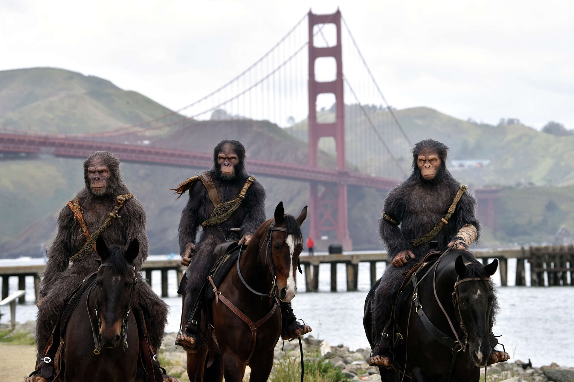 Costumed apes seen on horseback ride through San Francisco
