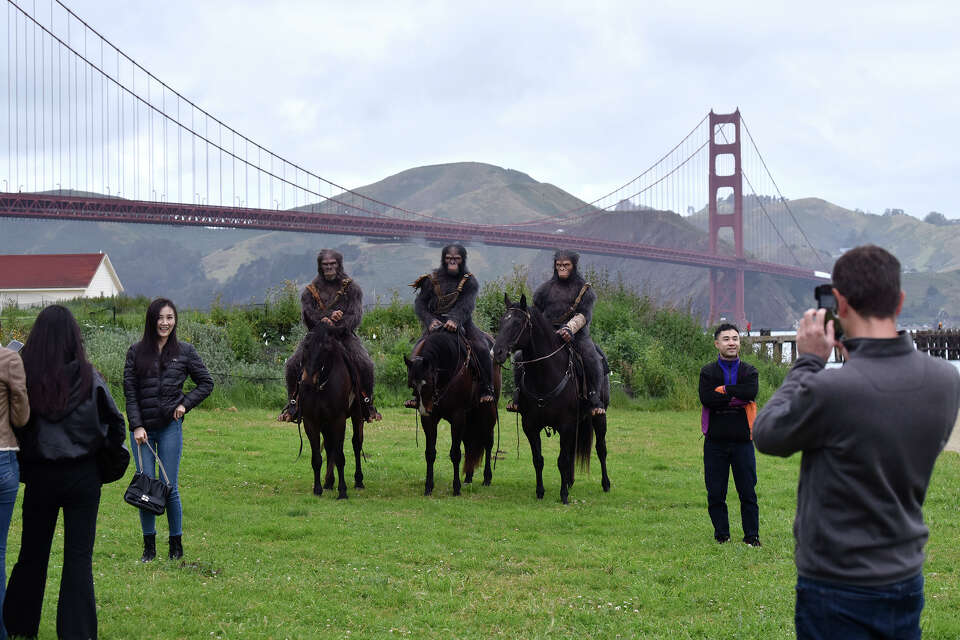 Costumed apes seen on horseback ride through San Francisco