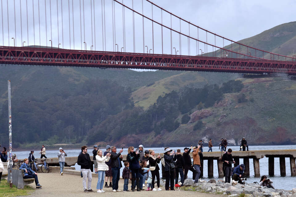 Costumed apes seen on horseback ride through San Francisco