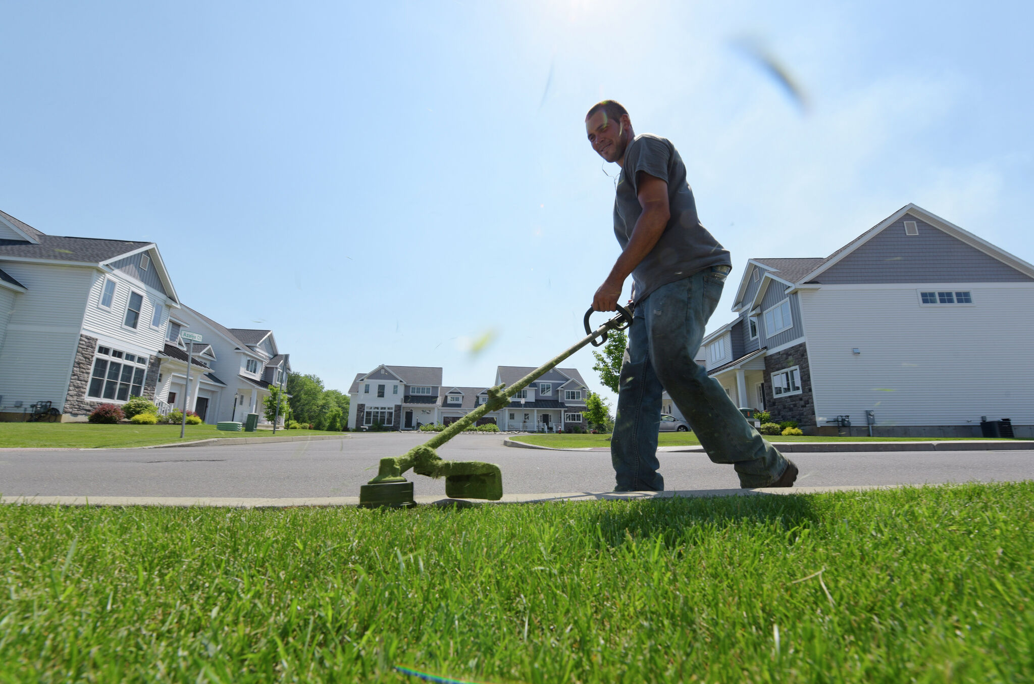 The grass isn't greener: We can do better than monoculture lawns