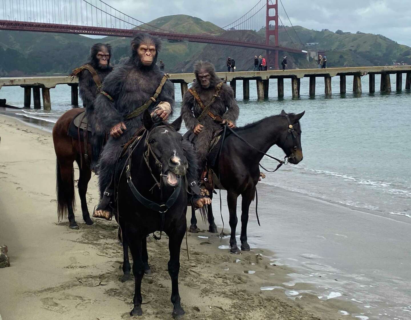 Apes on horseback spotted on a San Francisco beach. Here’s why