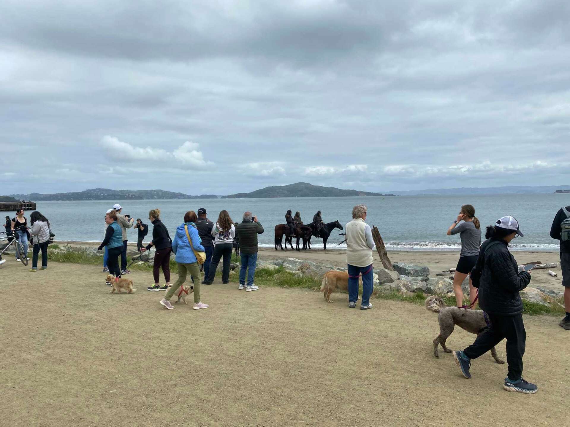 Apes on horseback spotted on a San Francisco beach. Here’s why