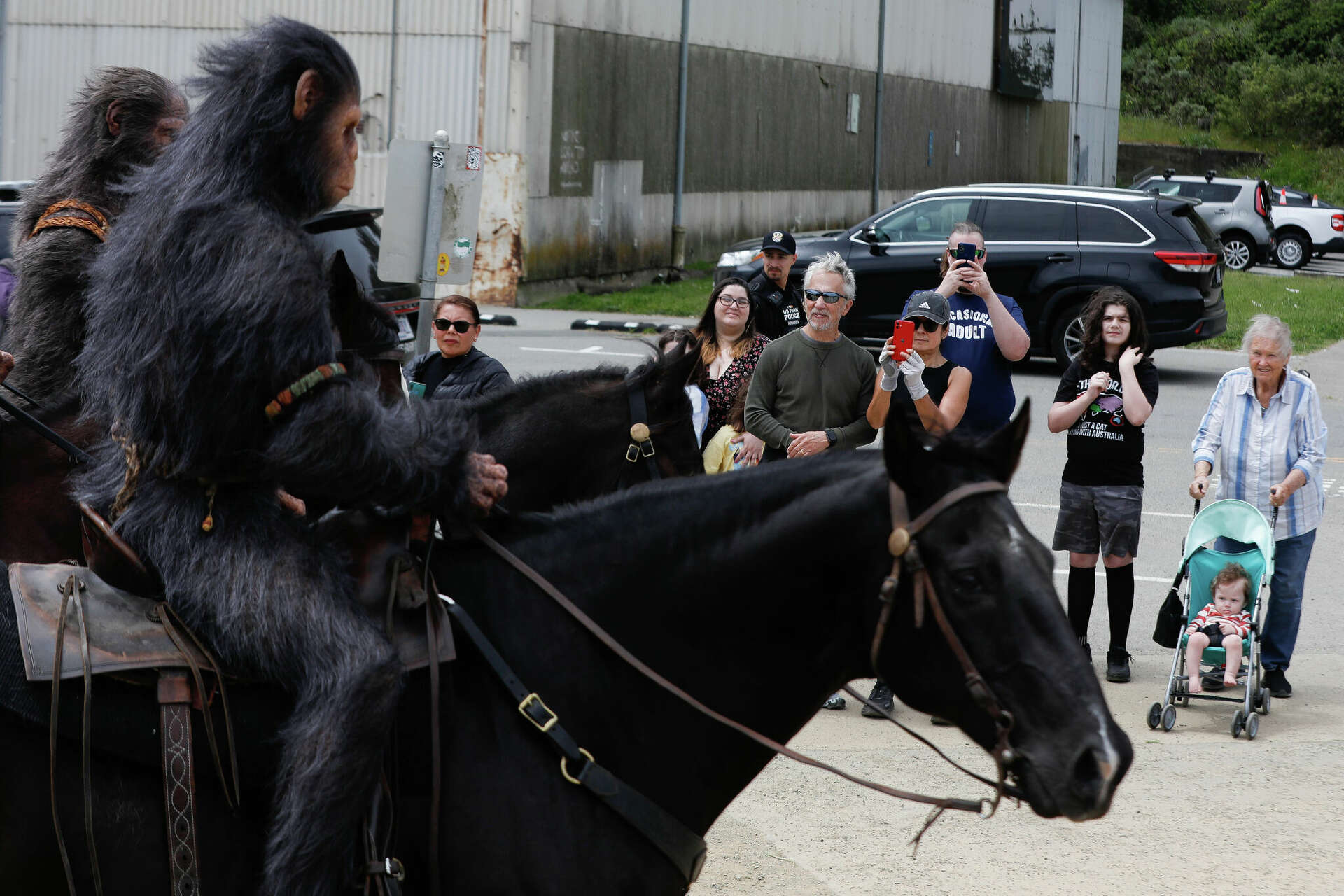 Apes on horseback spotted on a San Francisco beach. Here’s why
