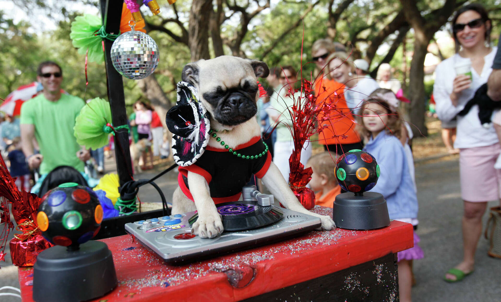 Fiesta Pooch Parade in Alamo Heights turns 25