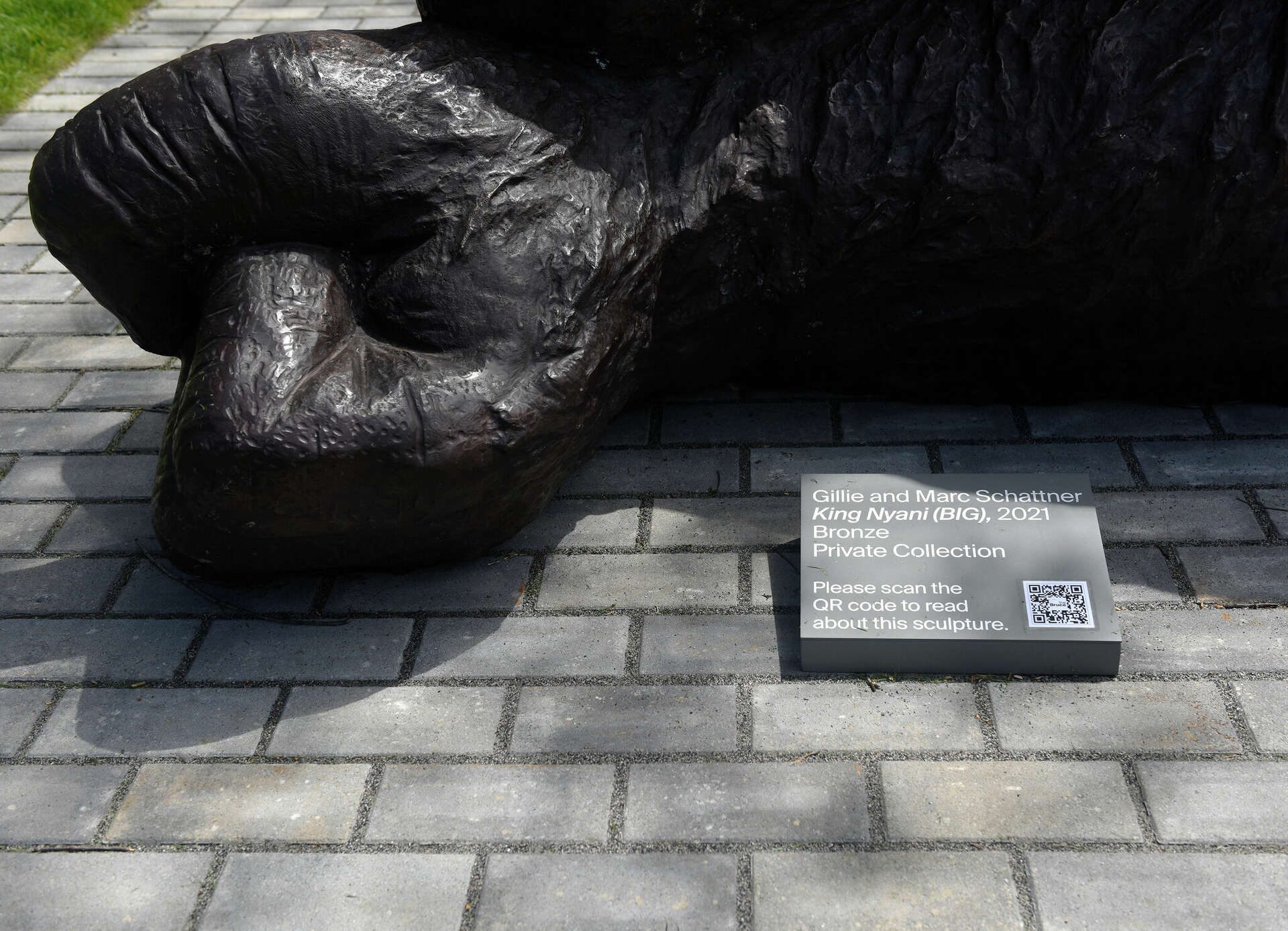 'World's largest bronze gorilla sculpture' comes to CT