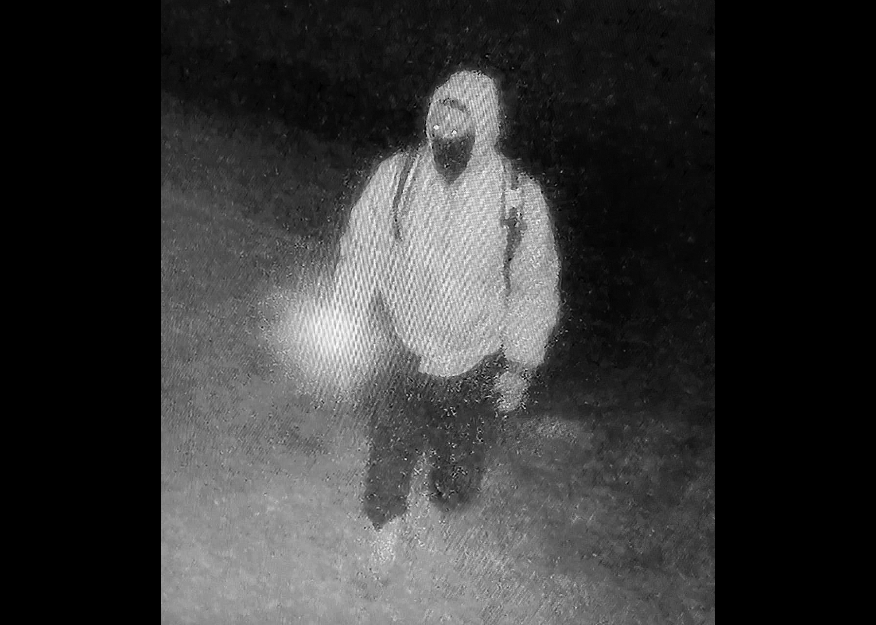 Surveillance video shows suspects in failed Sebewaing burglary