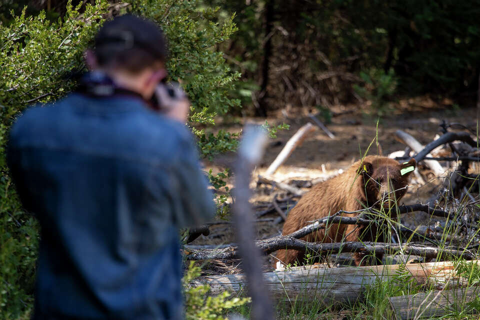 Retired California ranger gets real about tourons