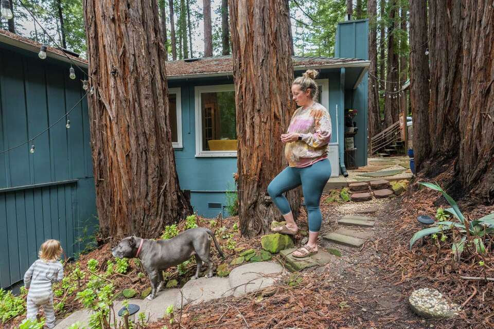 California's insurance crisis is pushing Santa Cruz to a tipping point