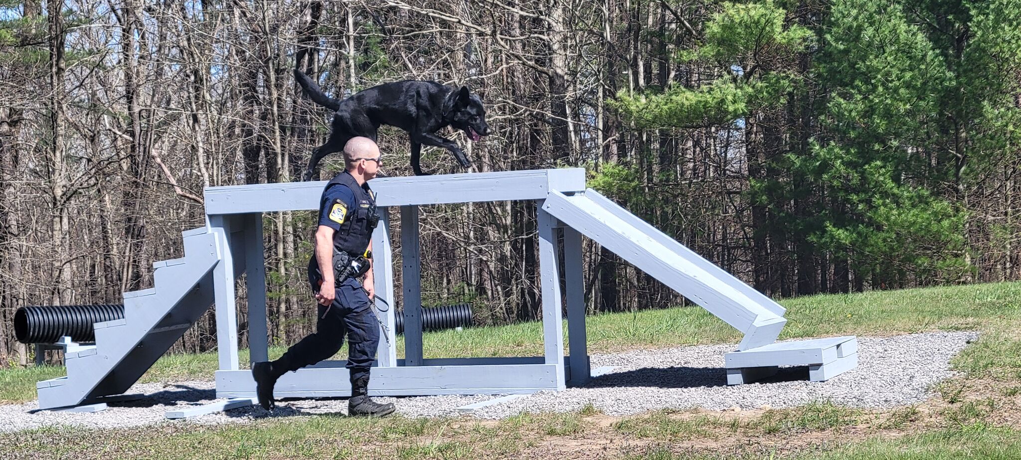 Tolland Eagle Scout project creates new K-9 obstacle course at Troop C