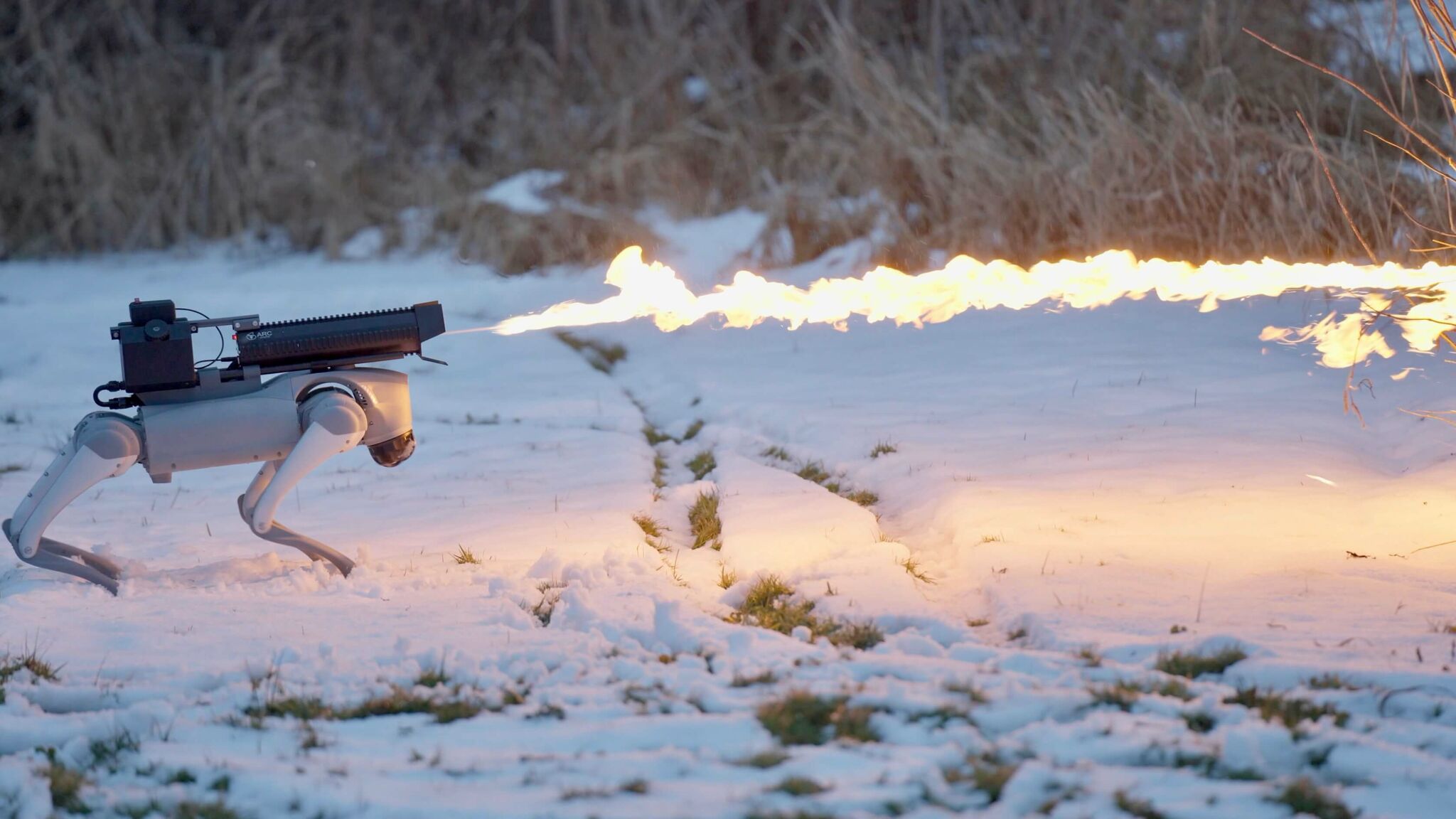 Midwestern company selling world's first flame-throwing robot dog