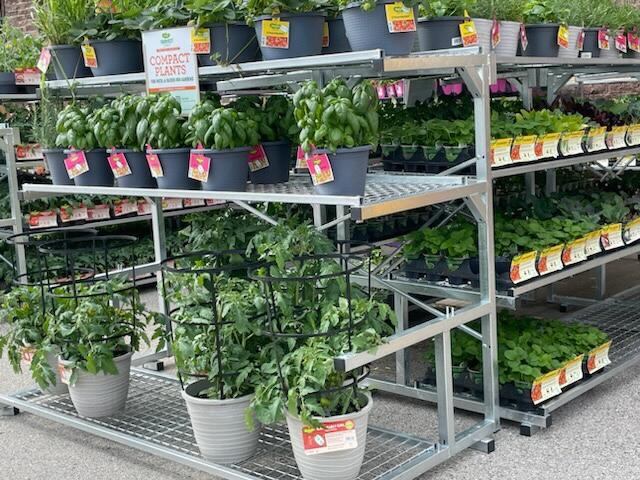 Plants affect aesthetics, ecology, economics, and well-being