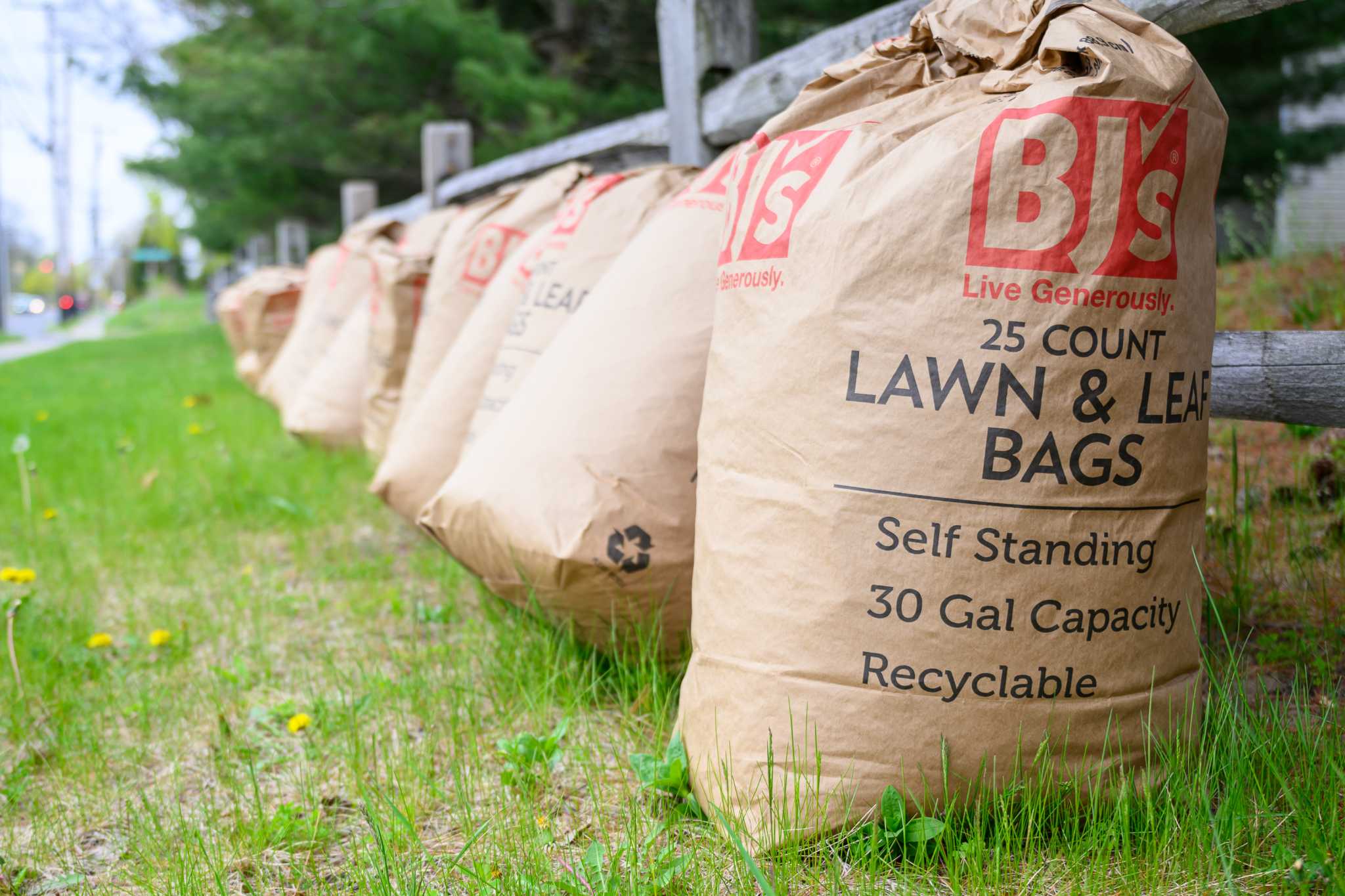Displeasure over how yard detritus is dumped in Colonie