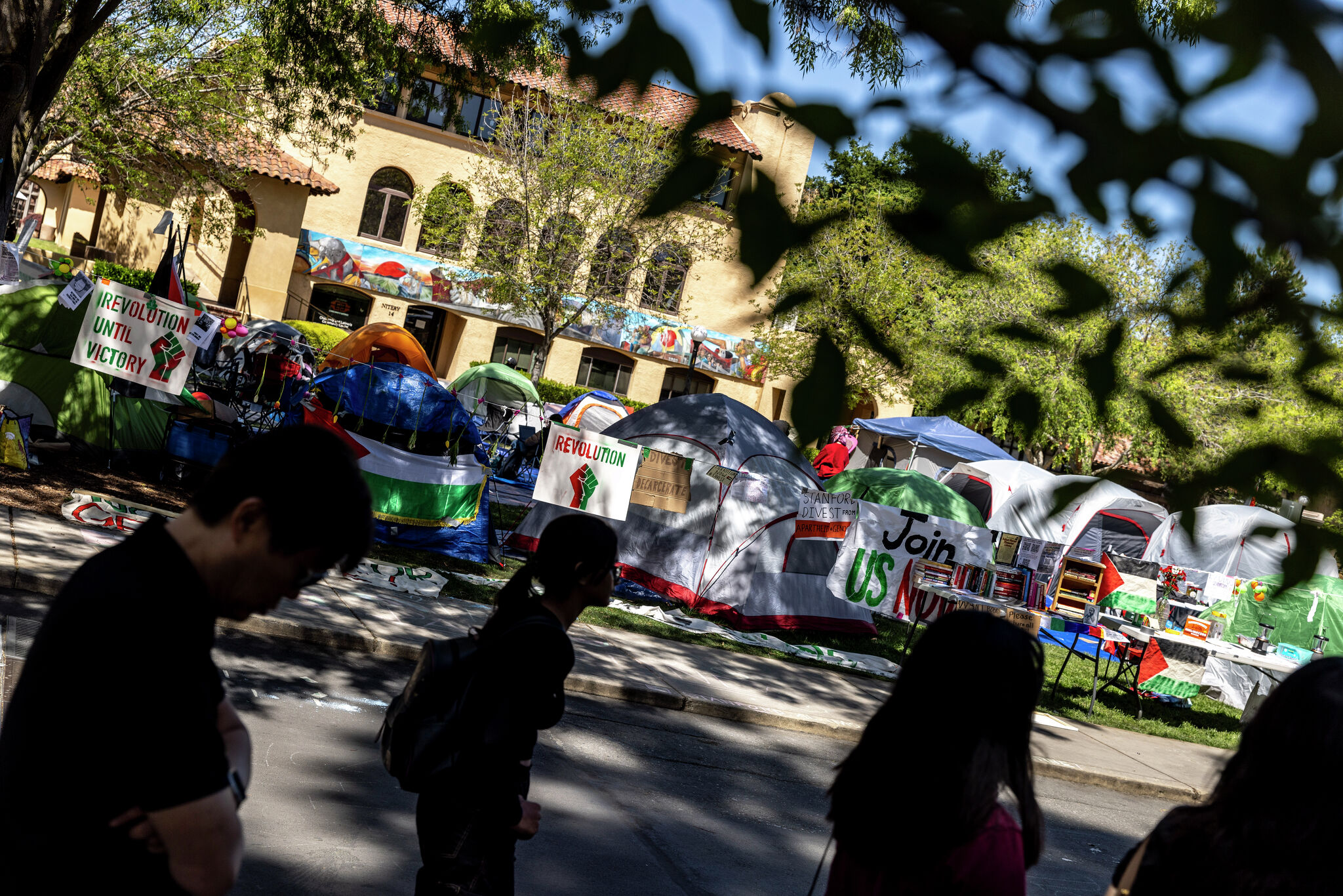Stanford faculty rally to support protesters at campus encampment