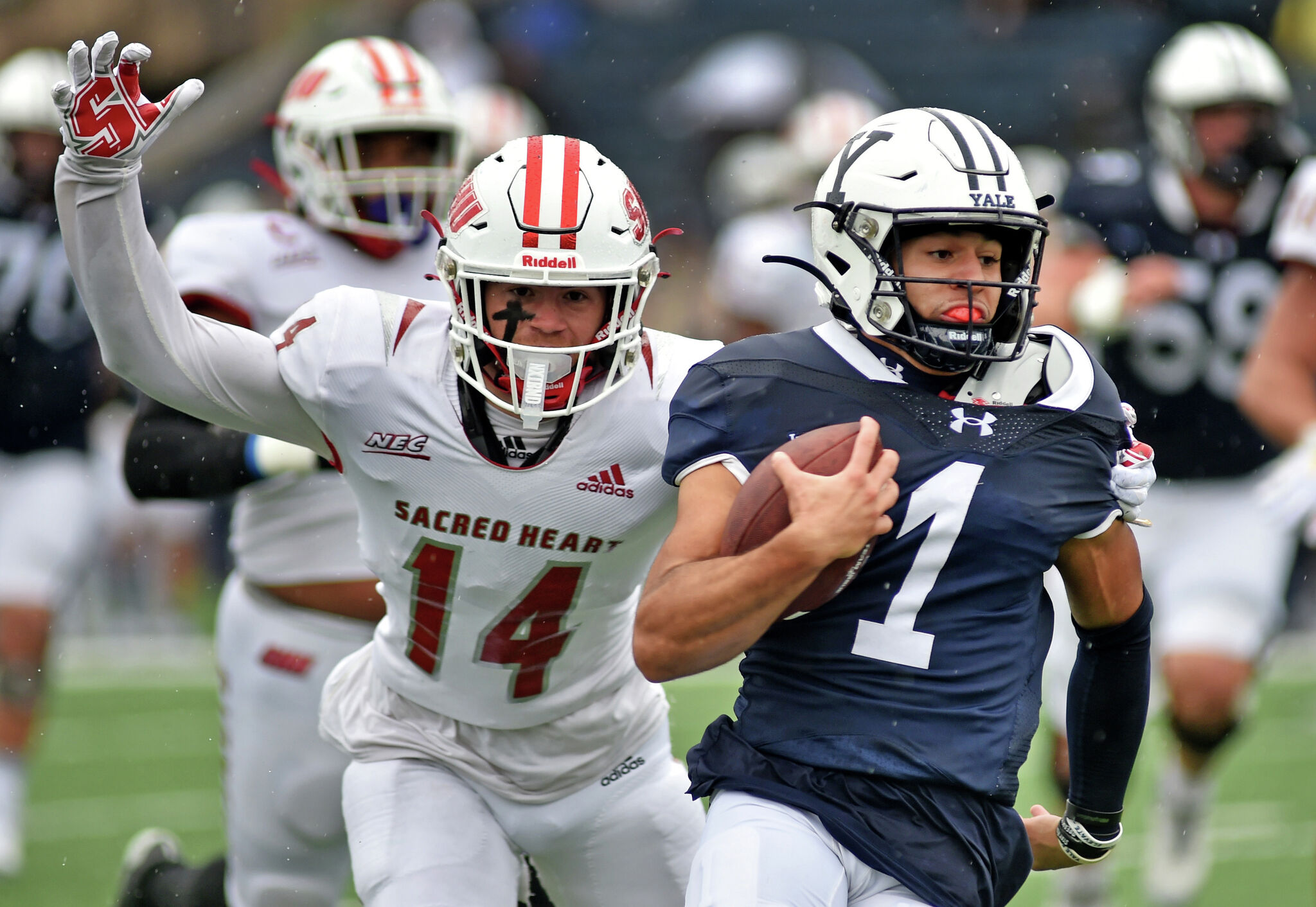 Yale football hosts Central Connecticut in 2024 home opener