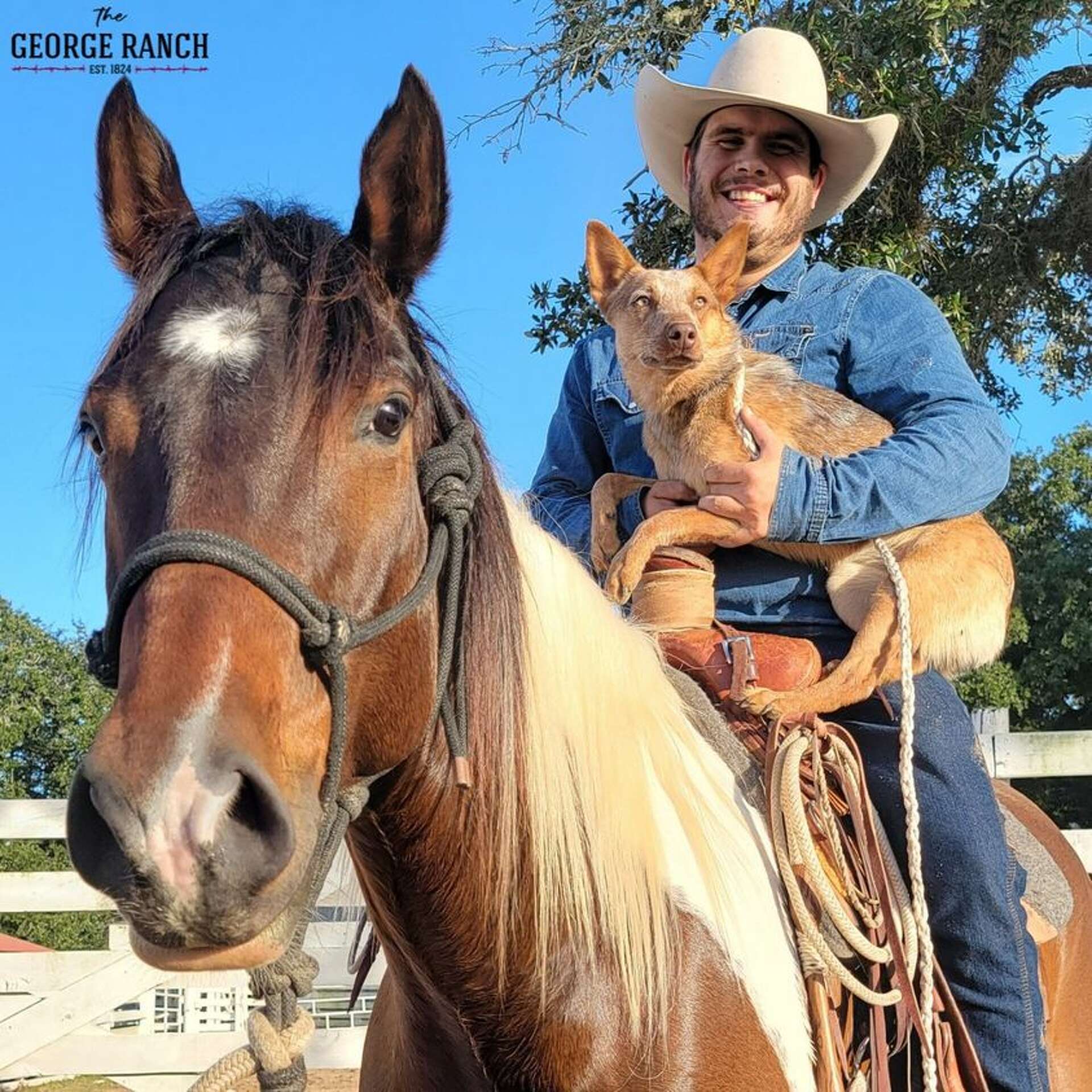 George Ranch bicentennial festivities marked with special rodeo event