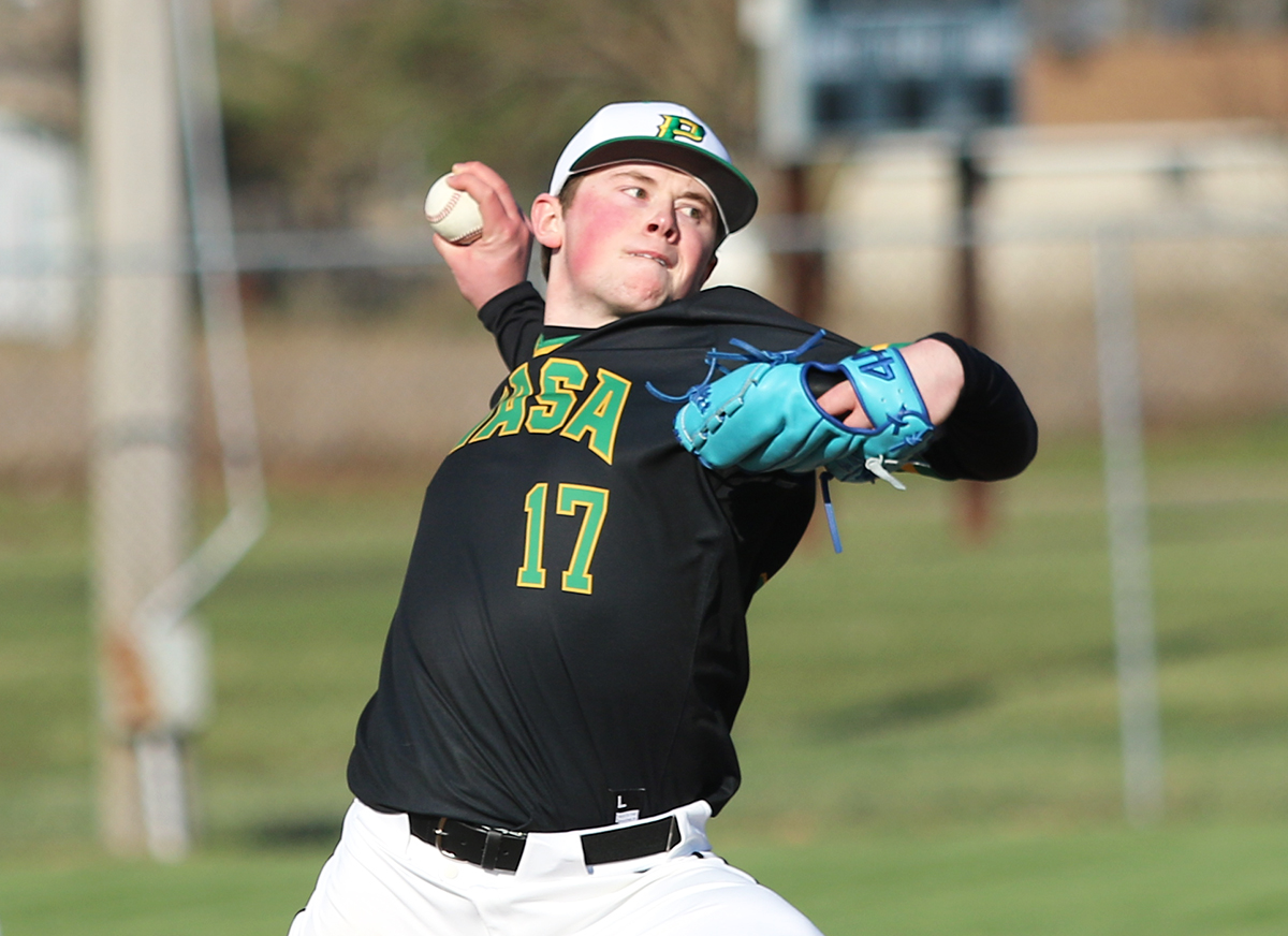 WEDNESDAY BASEBALL: Almost perfect, Birds' LeMarr no-hits Cavies