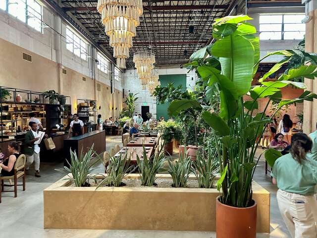 Mezquite shines with Sonoran flavors in San Antonio