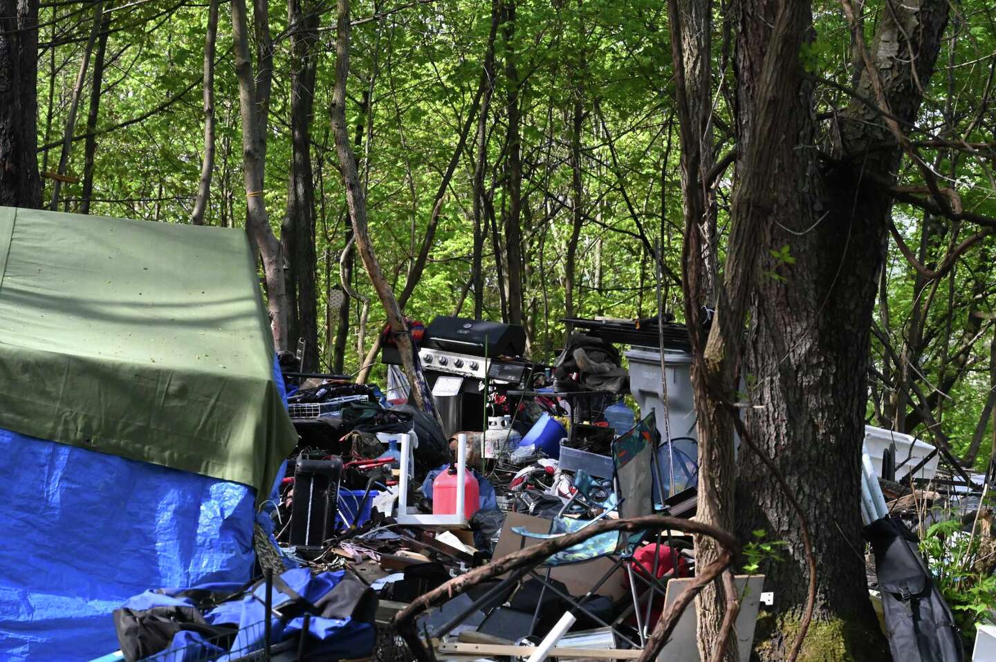 Prospect Park fire scorches part of homeless encampment in Troy