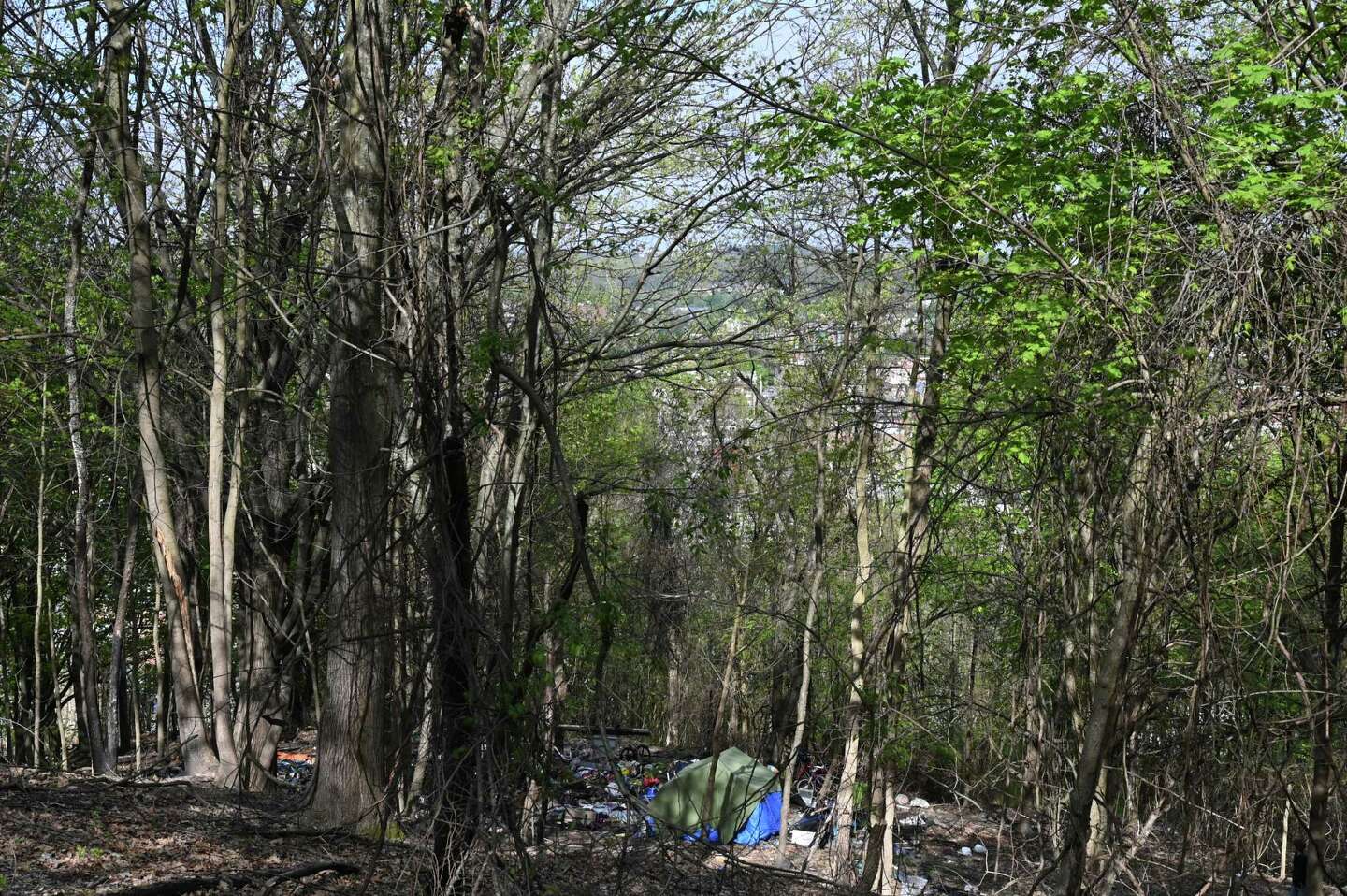 Prospect Park fire scorches part of homeless encampment in Troy