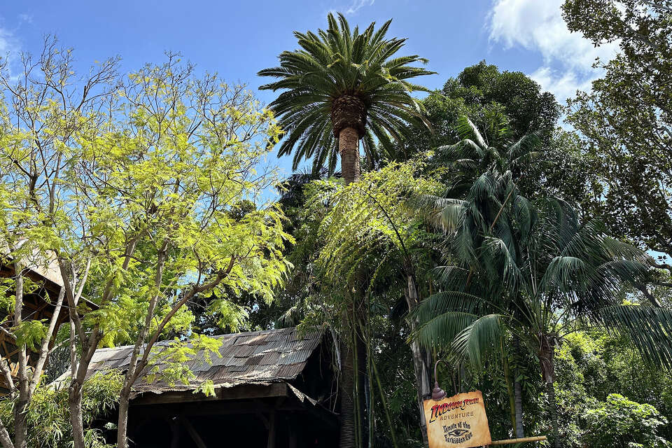 He lost his home to Disneyland. Decades later, he ran the park.