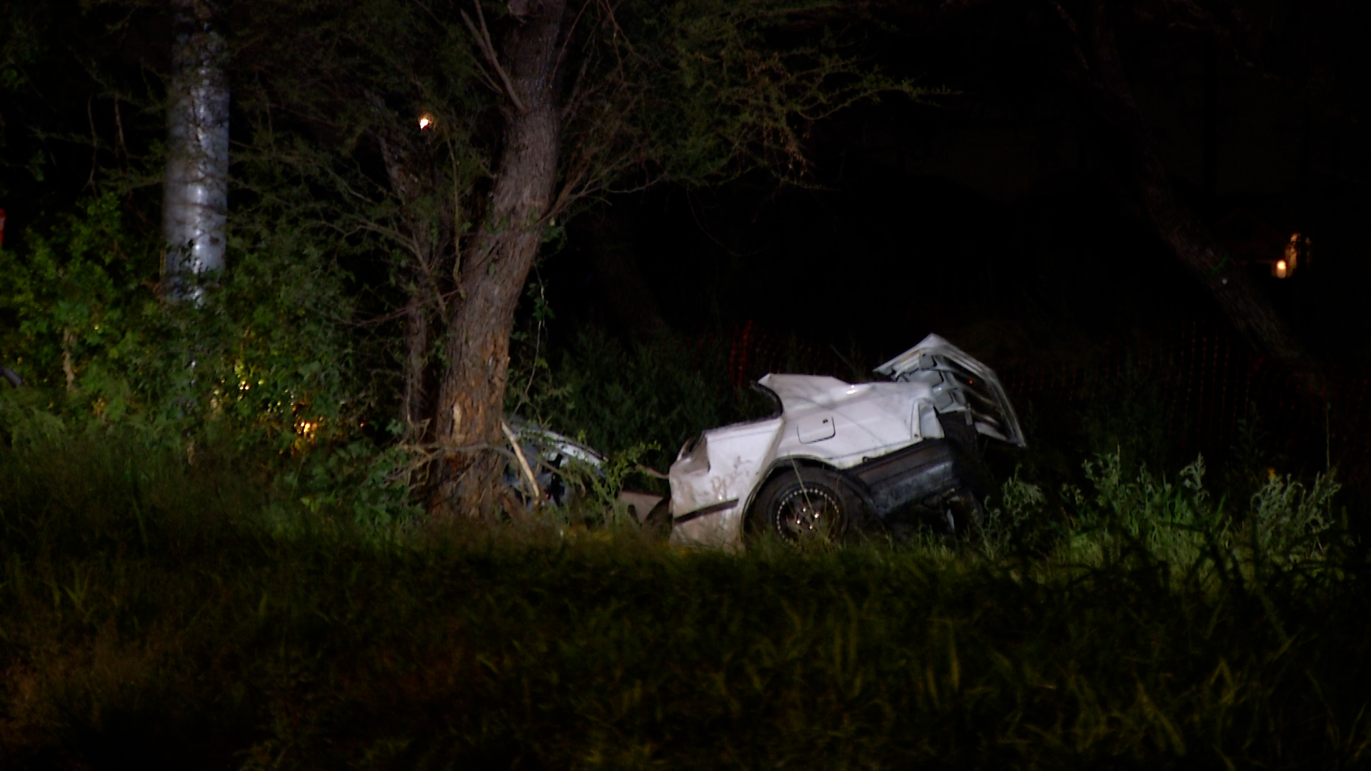 Man dies after losing control of vehicle, crashing into tree