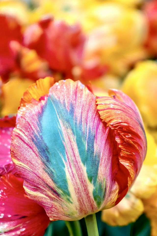 Spier Falls Dam power station on Hudson River damaged in massive blaze